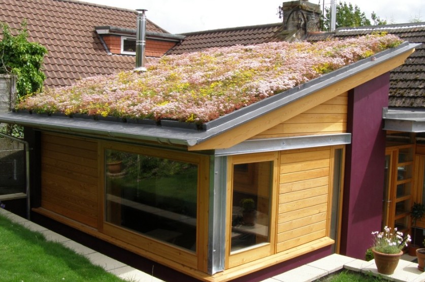 Sedum Green Roofs in Ireland - Is it Really As Sustainable as it is ...