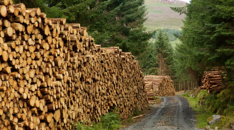 Timber Frame Ireland - The Push to Increase Timber Frame Housing Using ...